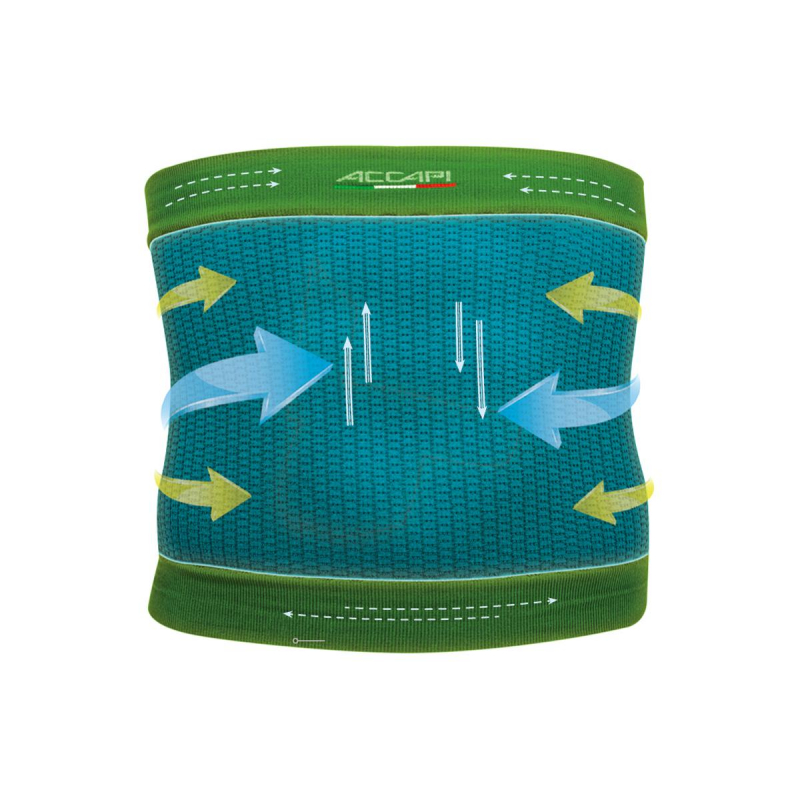 ACCAPI Fascia Lombare